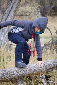 Summit Peak Hoodie - Pattern Niche
