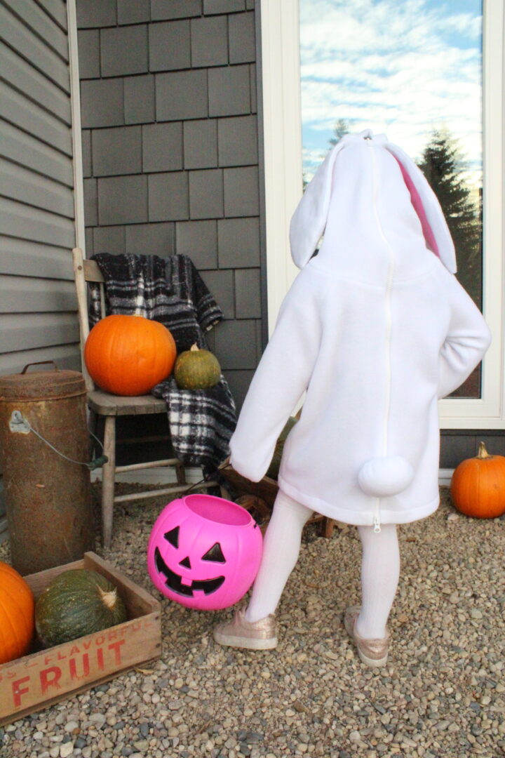 Summit Peak Back-Zip Halloween Costume Hack - Pattern Niche